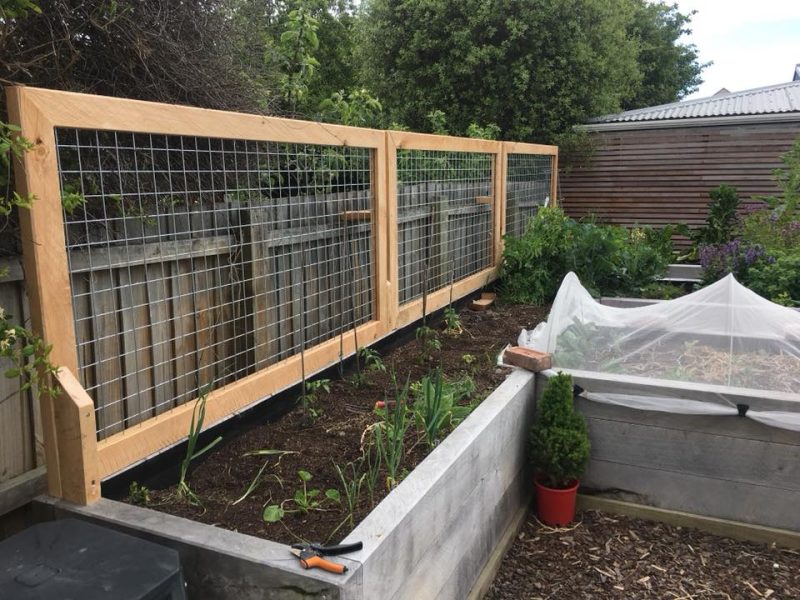 Macrocarpa Raised Garden Beds + Decking