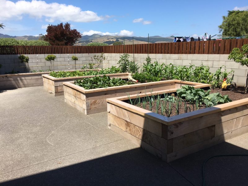Macrocarpa Raised Garden Beds + Decking